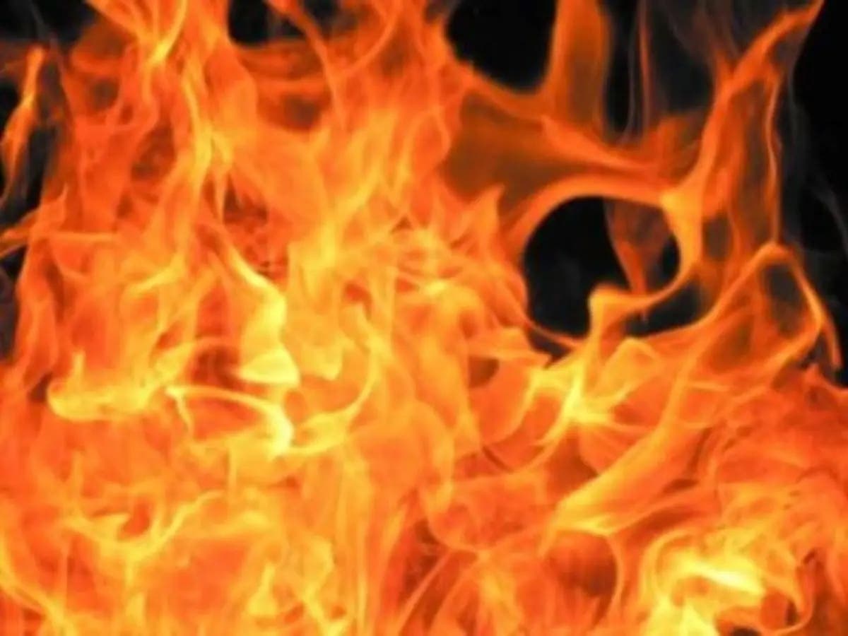 Massive Fire Brought Under Control At Old County Line Nursery ...