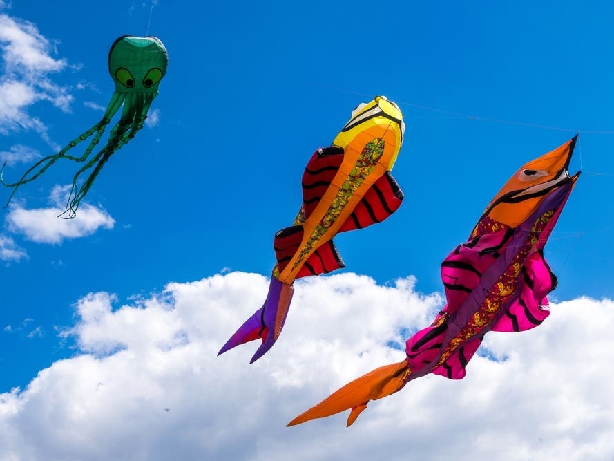 Kite Fly Planned At Frontier Sports Complex In Naperville | Naperville ...