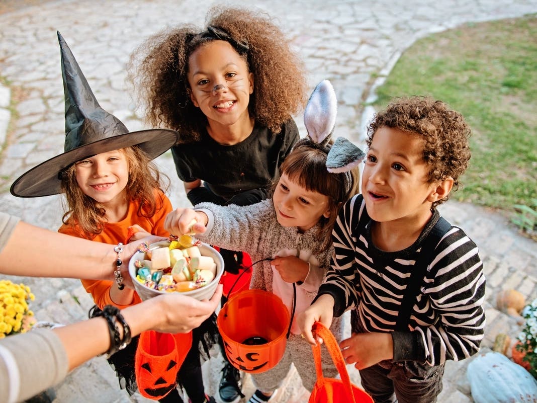 Tampa Among Top 20 Cities In Country For Best Halloween | Tampa, FL Patch