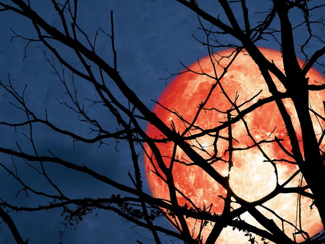Mar 14 | Full Sugar Maple Moon Hike | Eden Prairie, MN Patch