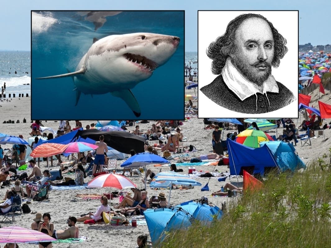 Queens Shakespeare On The Beach: Fear Not Sharks | Queens, NY Patch