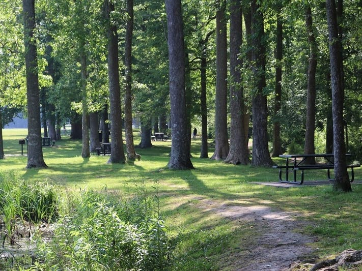 Picnic, BBQ Reservations Required At Nine Middlesex CO. Parks | Edison ...