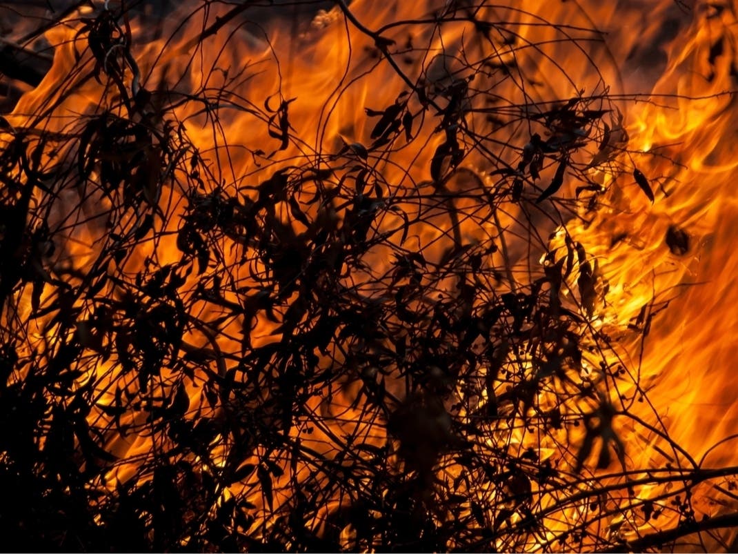 RSM Homes May Lose Power Amid Shutoff Warning, Red Flag Event | Rancho ...