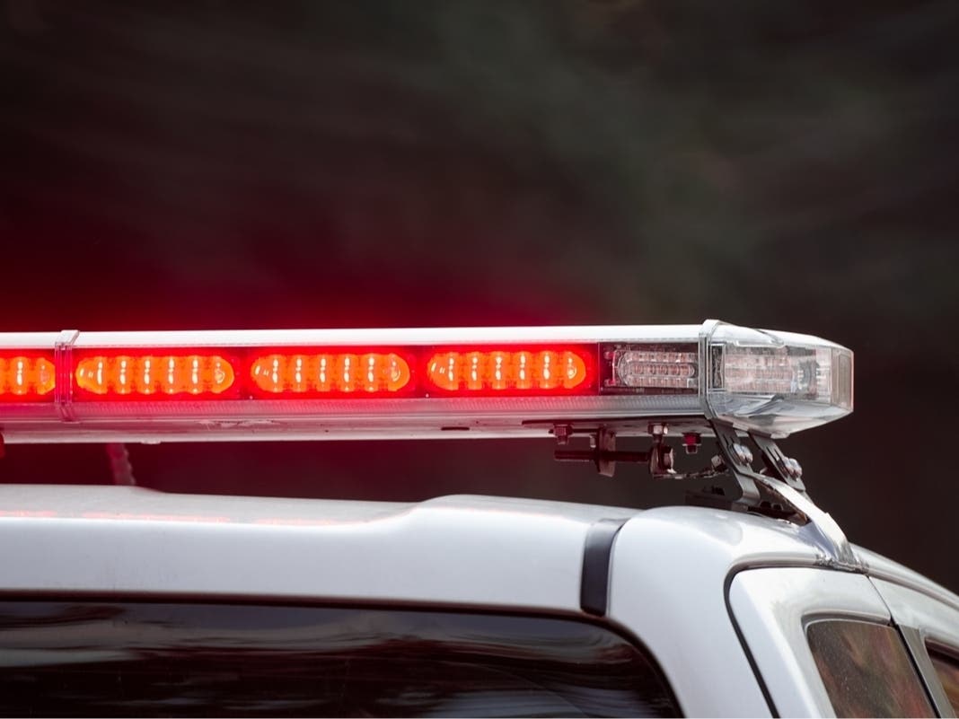 Tree Cutter Killed In Southeast Michigan: Sheriff | Across Michigan, MI ...