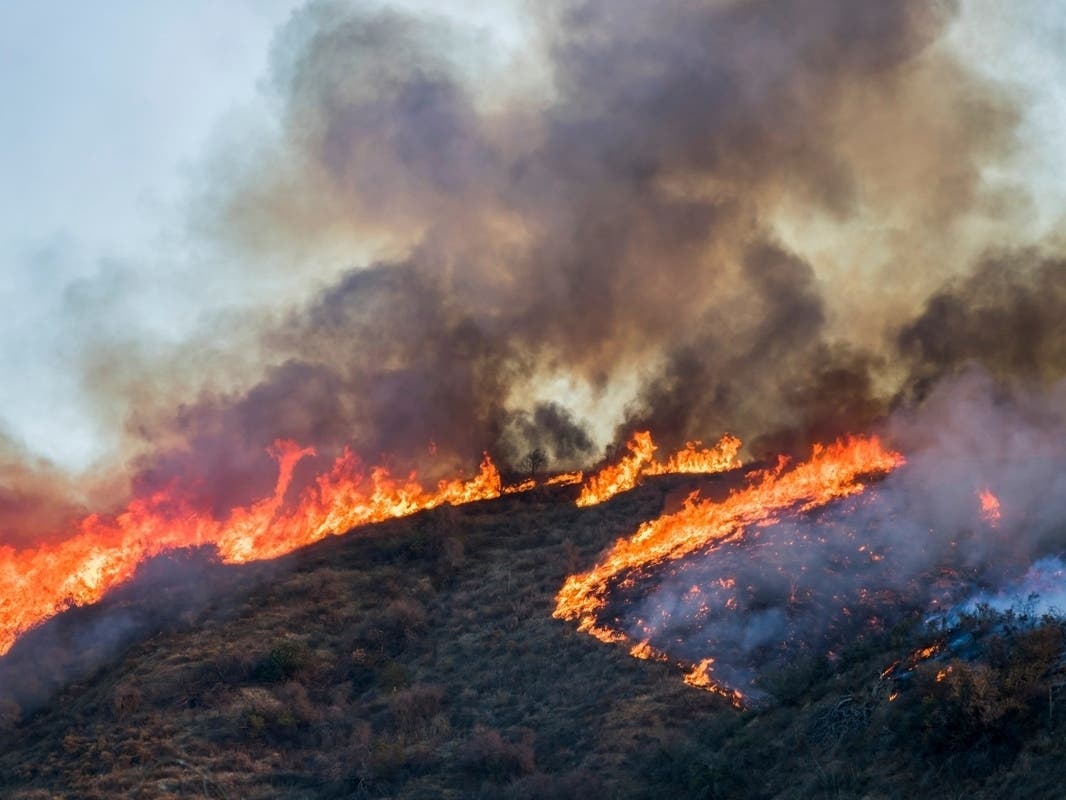 Wildfire Triples In Size Overnight, Closes Rose Canyon Lake Near Tucson ...