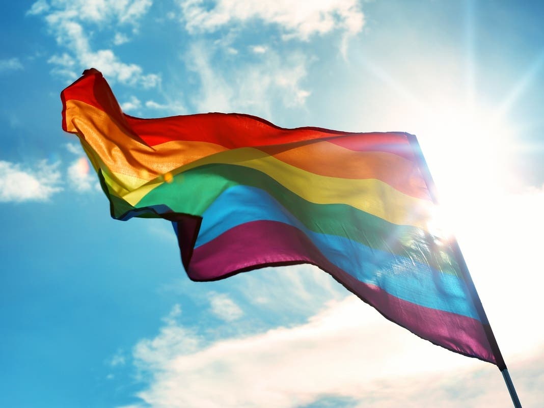 Alameda Nonprofit To Host Pride Festival Saturday | Alameda, CA Patch
