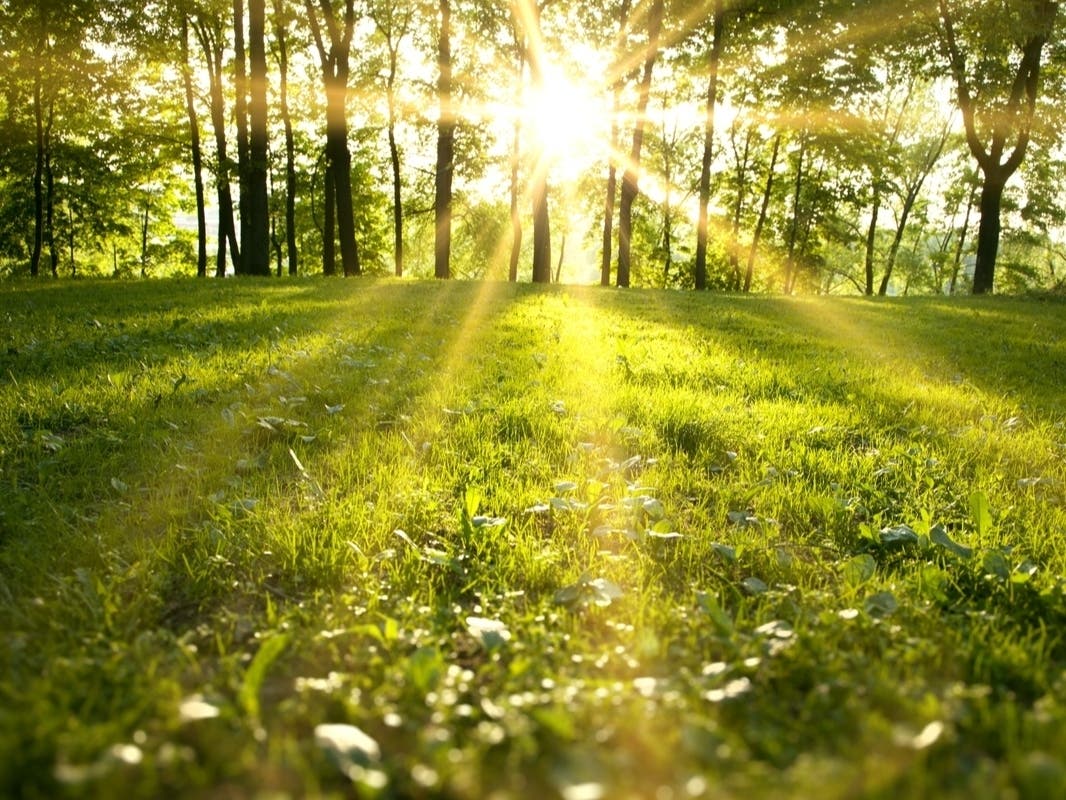 Fog, Rain, And Sun This Week In New Hampshire: Weather Forecast ...
