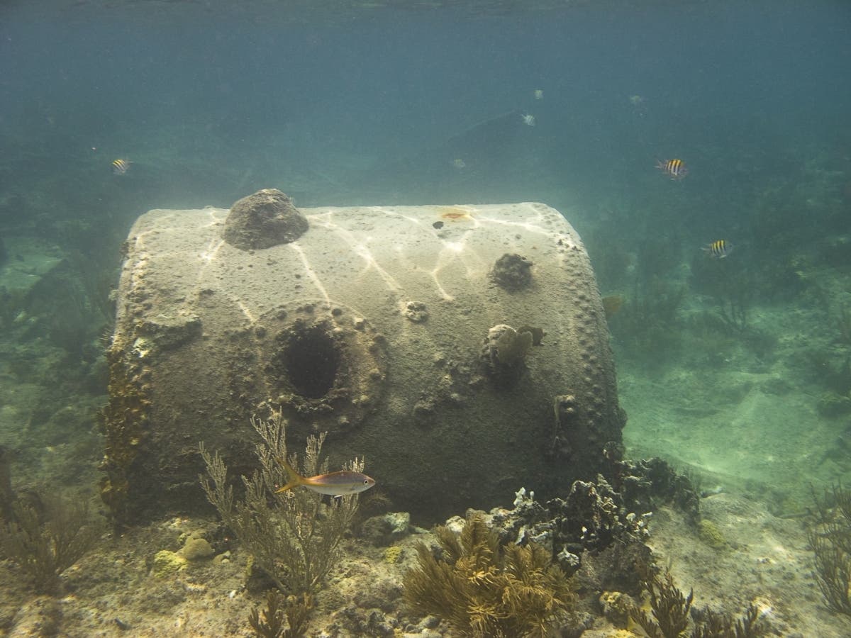 NJ Dive Team Discovers Wreckage Of Lost Shipwreck | Across New Jersey ...