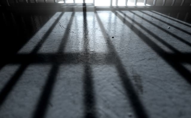Man Accused Of Trying To Run Over Brother | Tree Falls On Kids In ...