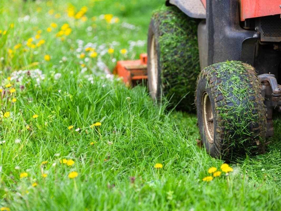 Get Off My Lawn, Boomer; Tidy, Close-Cut Lawns So 1950s [Block Talk ...