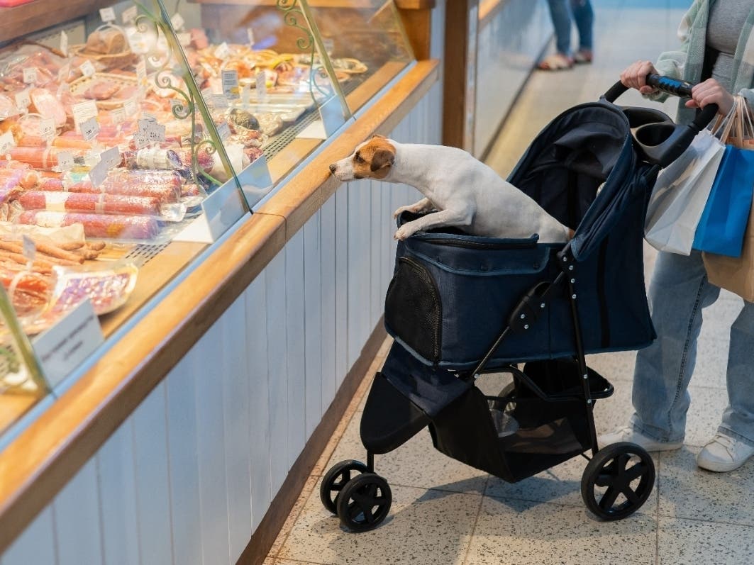 'Poop Cleanup In Aisle 9': Hard Pass On Dogs In Stores [Block Talk ...