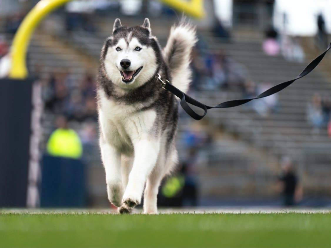 UConn's Jonathan Celebrates A Birthday Wednesday | Mansfield, CT Patch