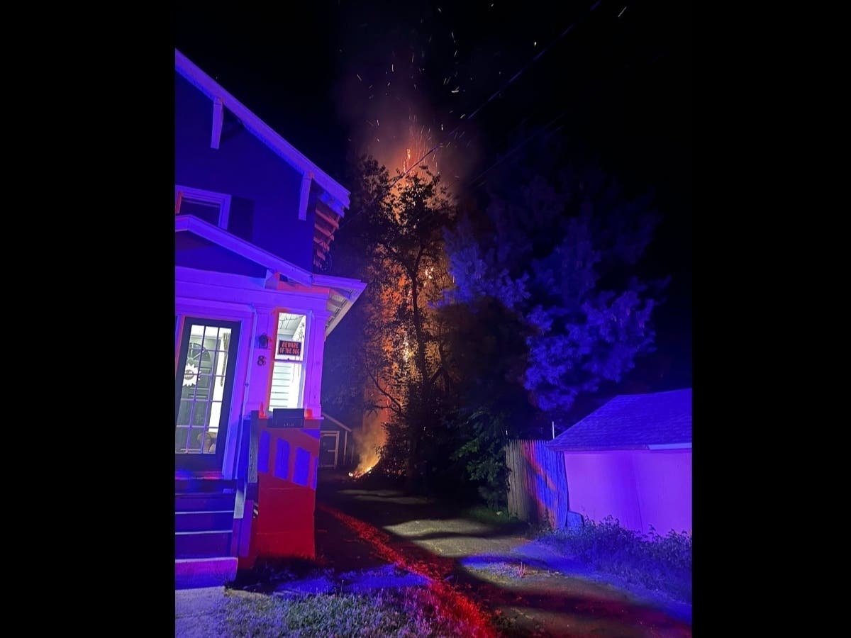 5,000 Gallons Of Water Later ... Tree Fire Extinguished In Vernon ...