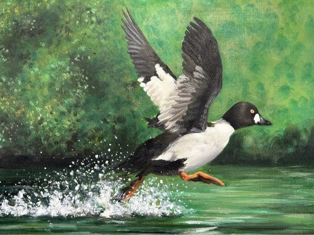 Mansfield 8th Grader's Painting Chosen For 2027 Connecticut Duck Stamp ...