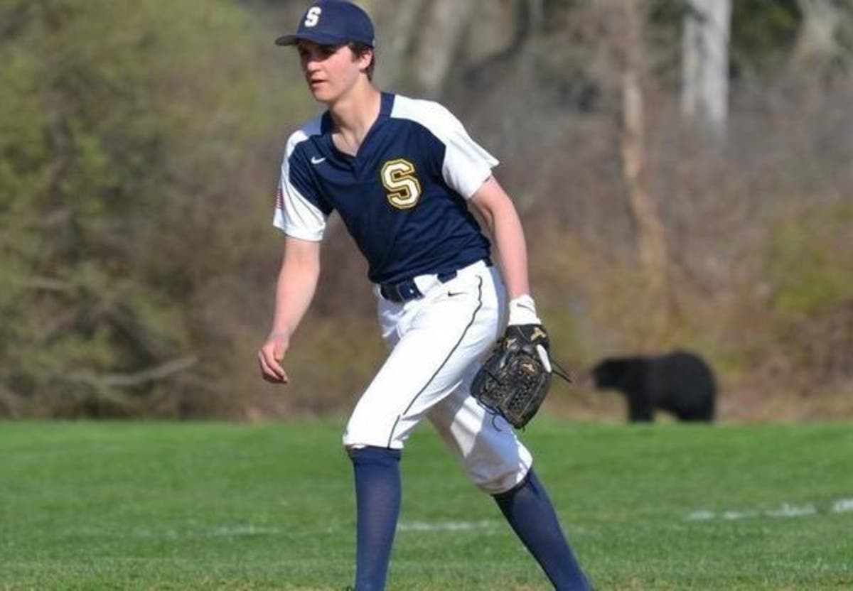 Black Bear Interrupts Simsbury Baseball Game | Simsbury, CT Patch