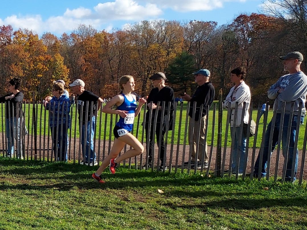 Champions Crowned At State Open Cross Country Championships | Across ...