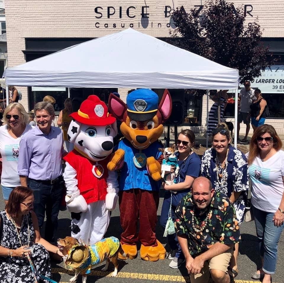 Westfield Went To The Dogs Sunday | Westfield, NJ Patch