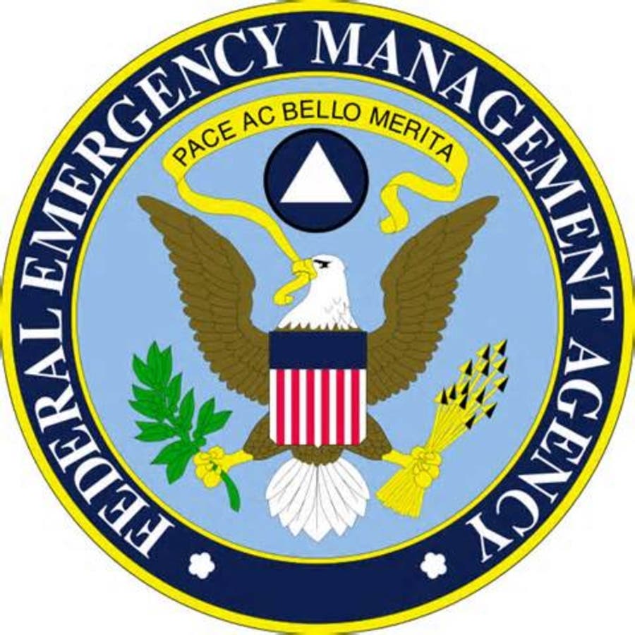 FEMA & Red Cross - Emergency Skills Activity Book for Children | San ...