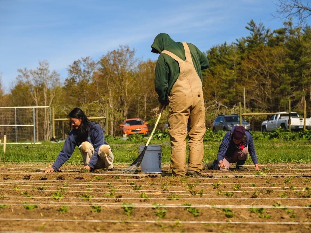 Celebrate Earth Day @ Husky Meadows Farm in Norfolk CT | Farmington, CT ...