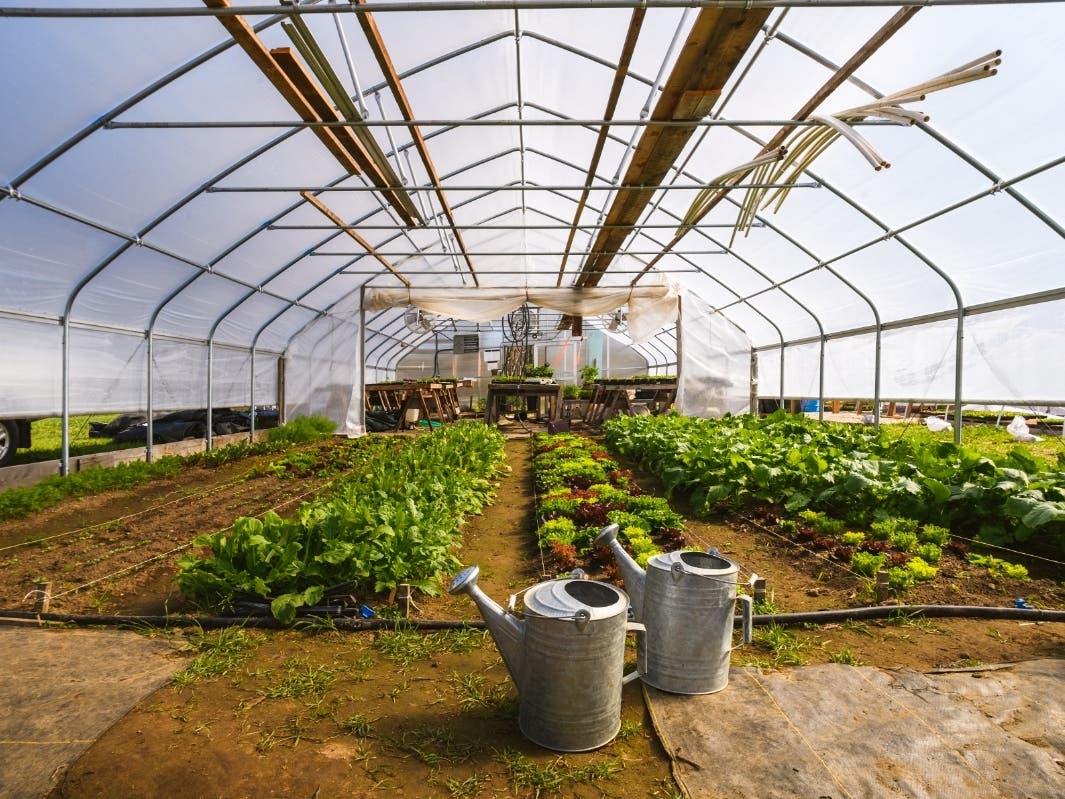 Celebrate Earth Day @ Husky Meadows Farm in Norfolk CT | Farmington, CT ...