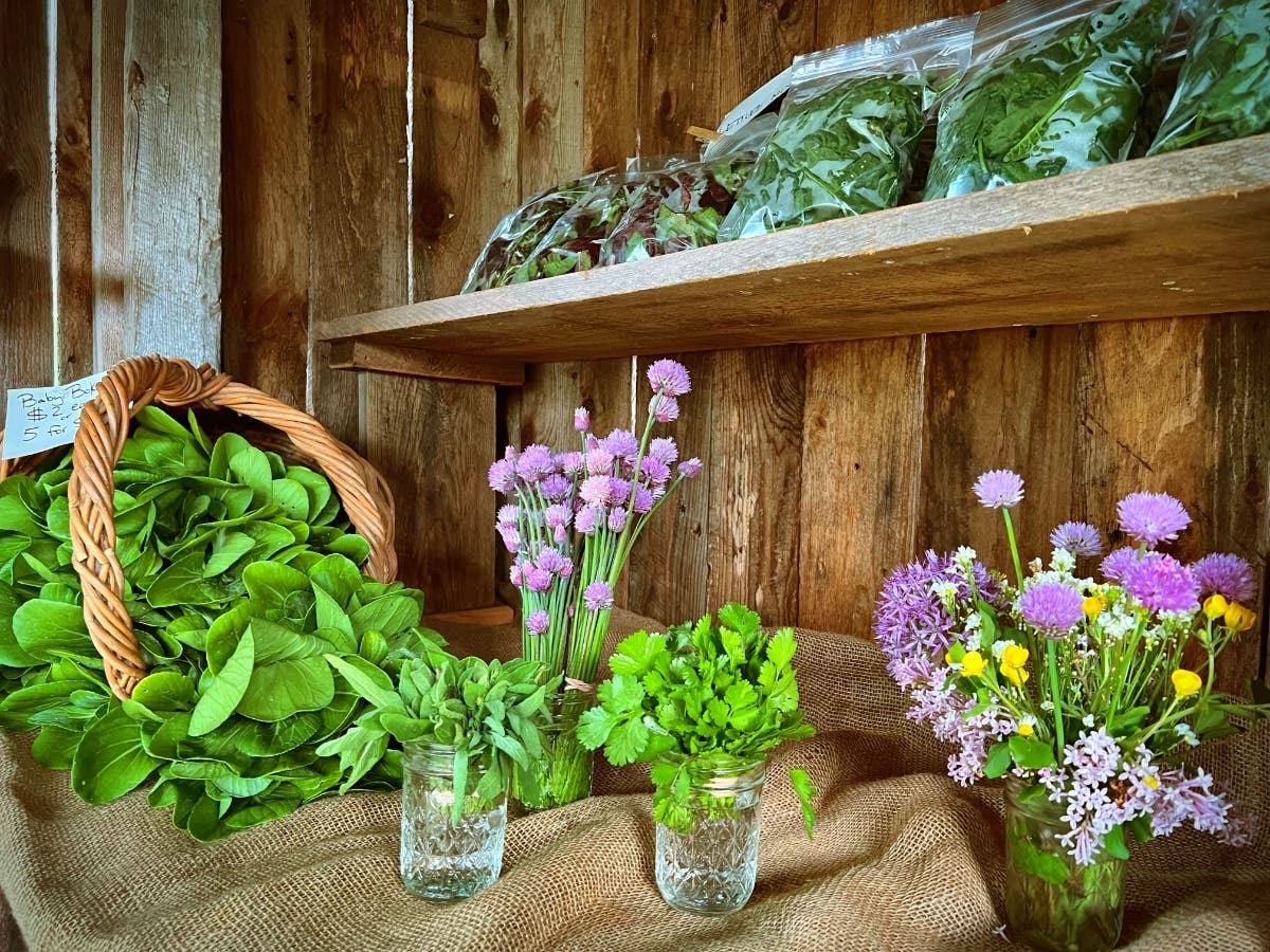 Savor the Season @ Husky Meadows Farm | Greater Hartford, CT Patch