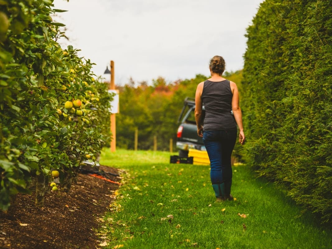 Orchard Farm Stay at Husky Meadows Farm | Greater Hartford, CT Patch