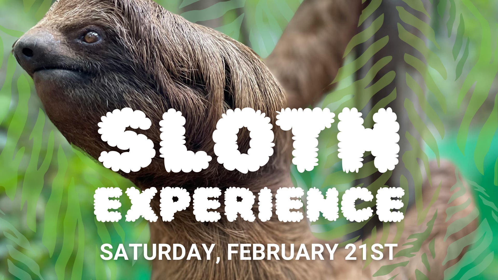 Feb 21 | Sloth Experience - Pet Open House 2026 | Frankfort, IL Patch