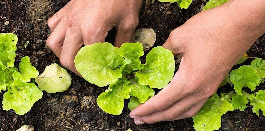 May 20 | Ways to Become More Self-Sufficient (Via Zoom) with Jessica ...