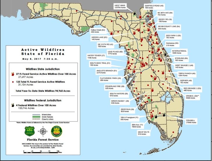 Florida On Fire: 125 Blazes, 'Worst Wildfire Season' | Tampa, FL Patch