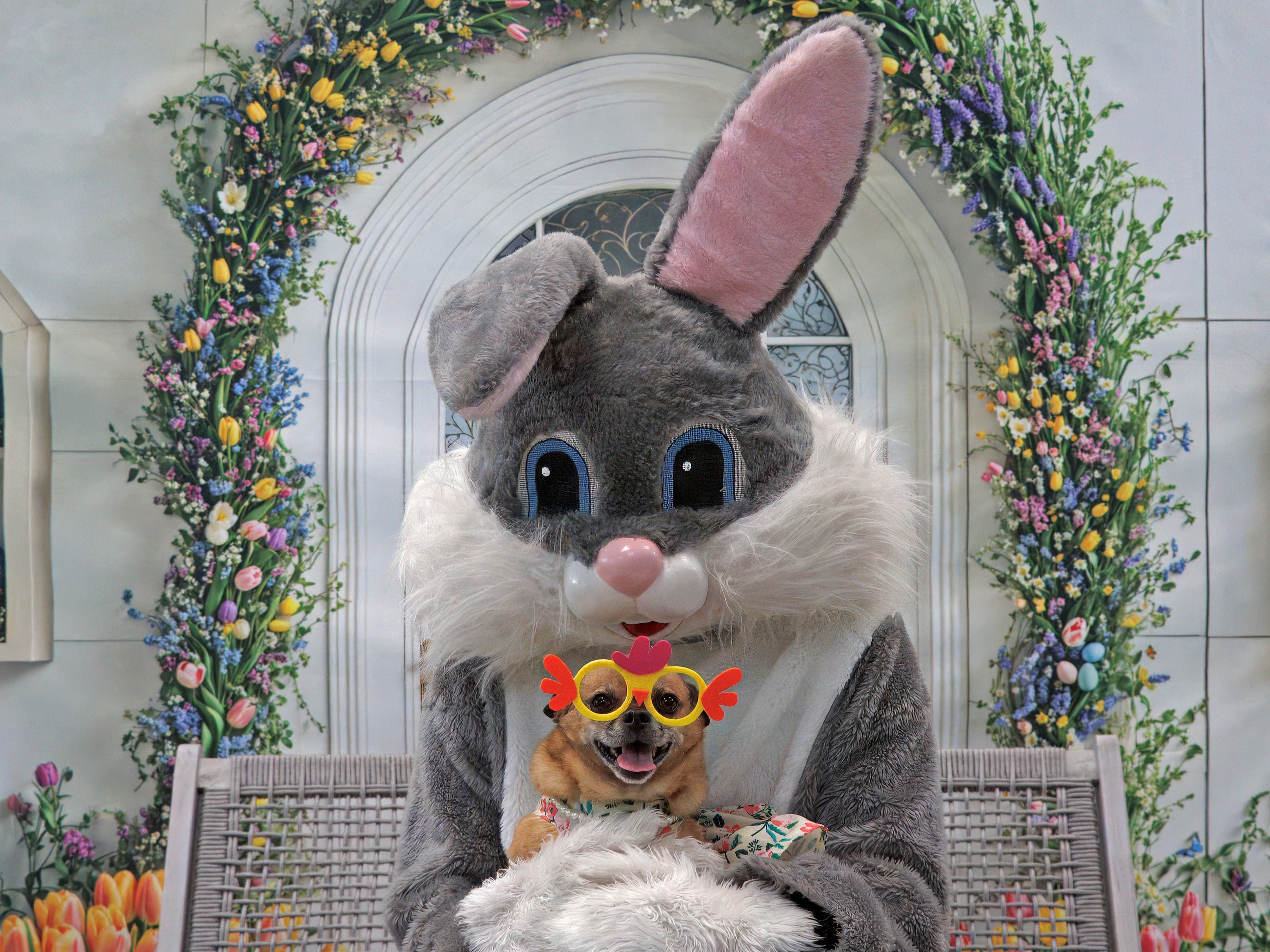 Apr 5 | Photos with the Easter Bunny! | Holmdel, NJ Patch