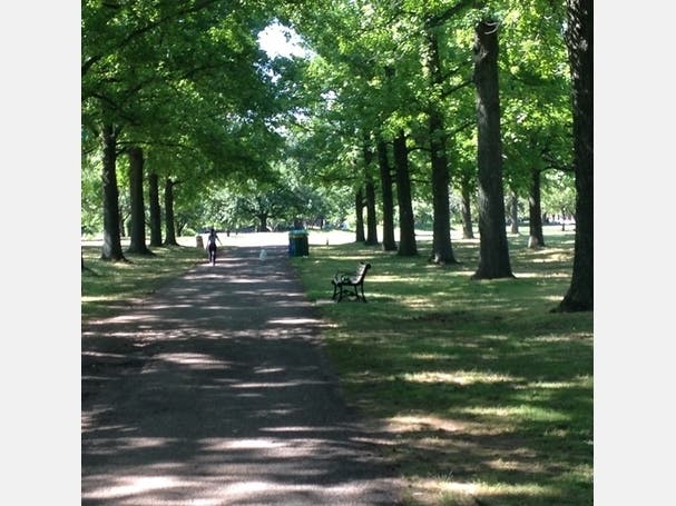 Update: Union County Parks Re-Open on Limited Basis, May 2 | Westfield ...