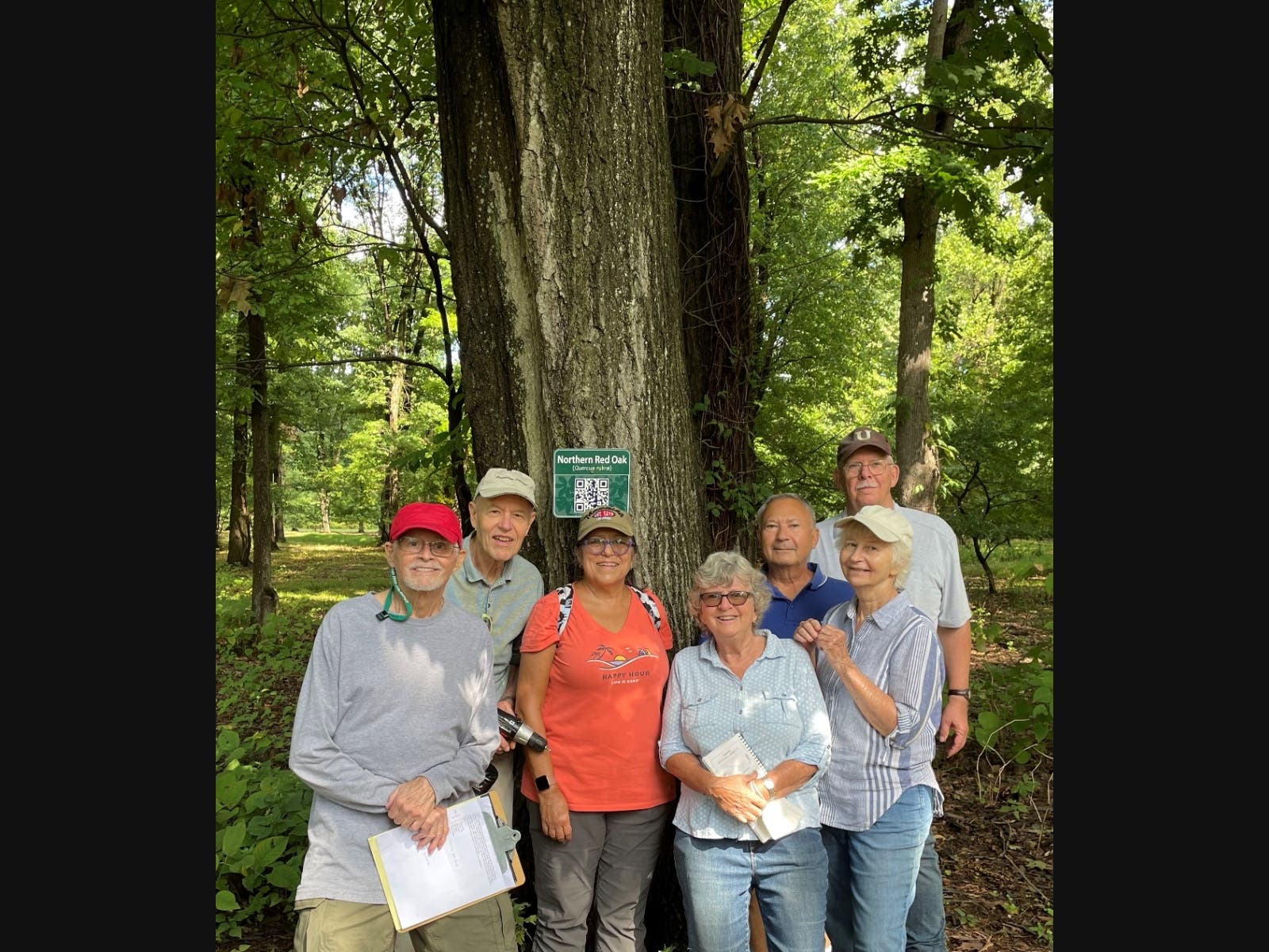 Enjoy Tree-Watching in Union County Parks | Westfield, NJ Patch
