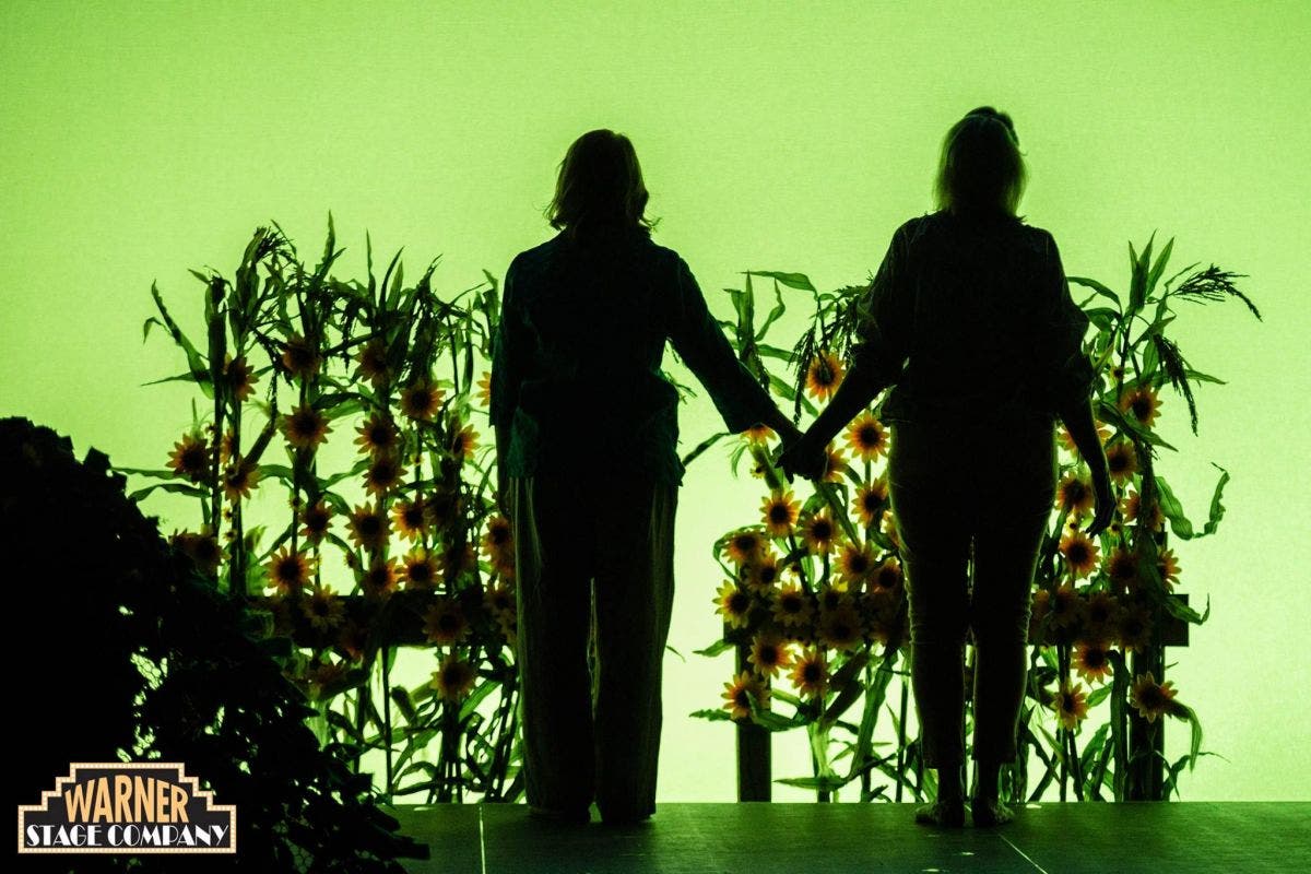 'Calendar Girls' Opens at Warner Theatre's Nancy Marine Studio Theatre ...