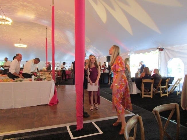 Back to the Playhouse Gala at Westport Country Playhouse [Photos ...