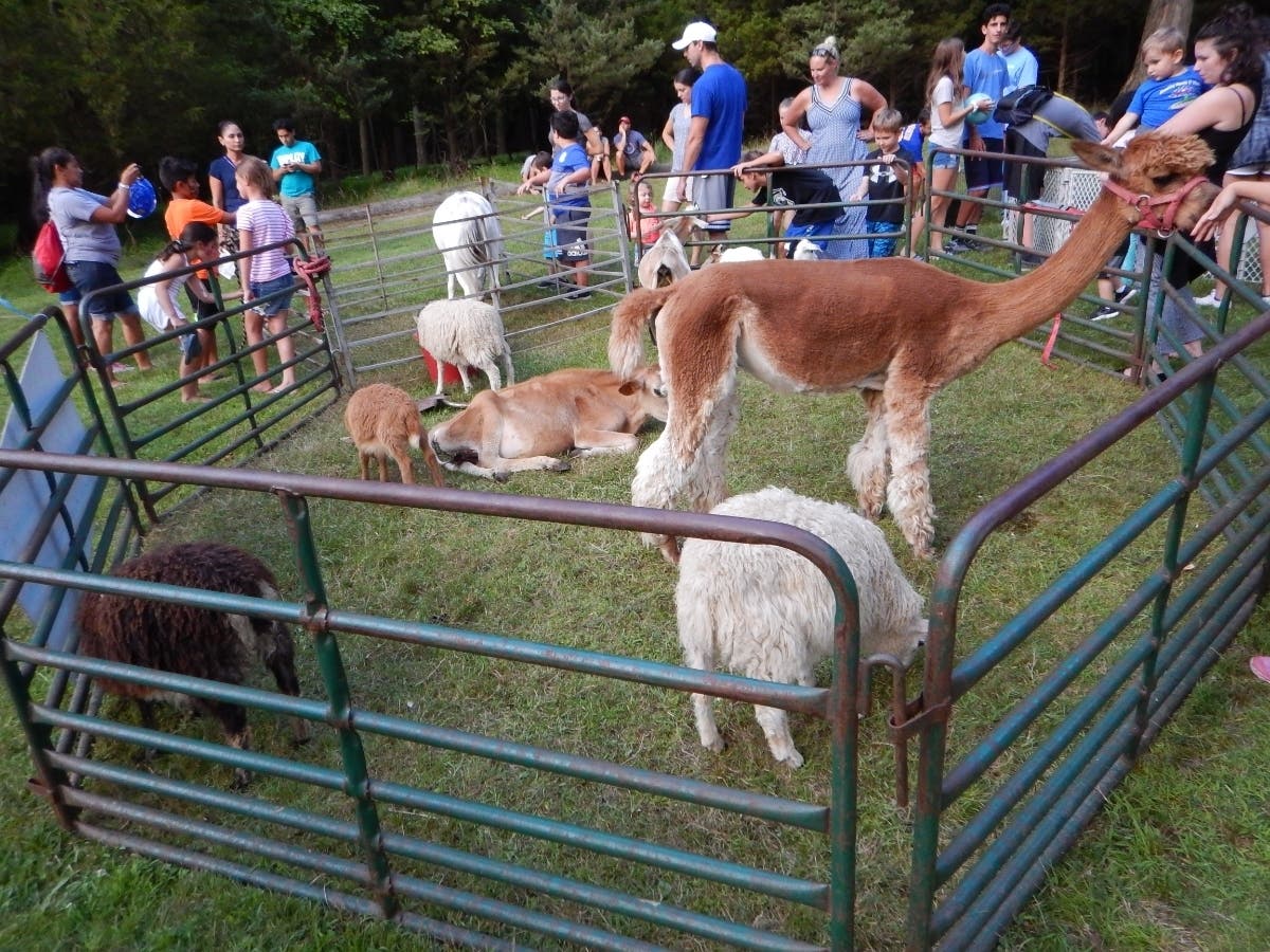 Cedar Grove PD Thanks Community For 'Great' National Night Out | Verona ...