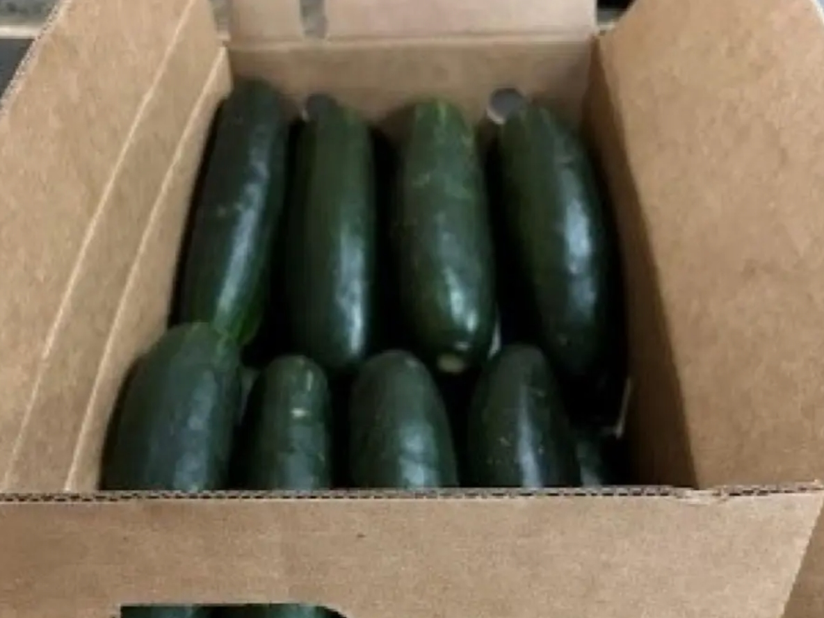 Cucumbers Recalled In NY For Salmonella Risk: FDA | East Hampton, NY Patch