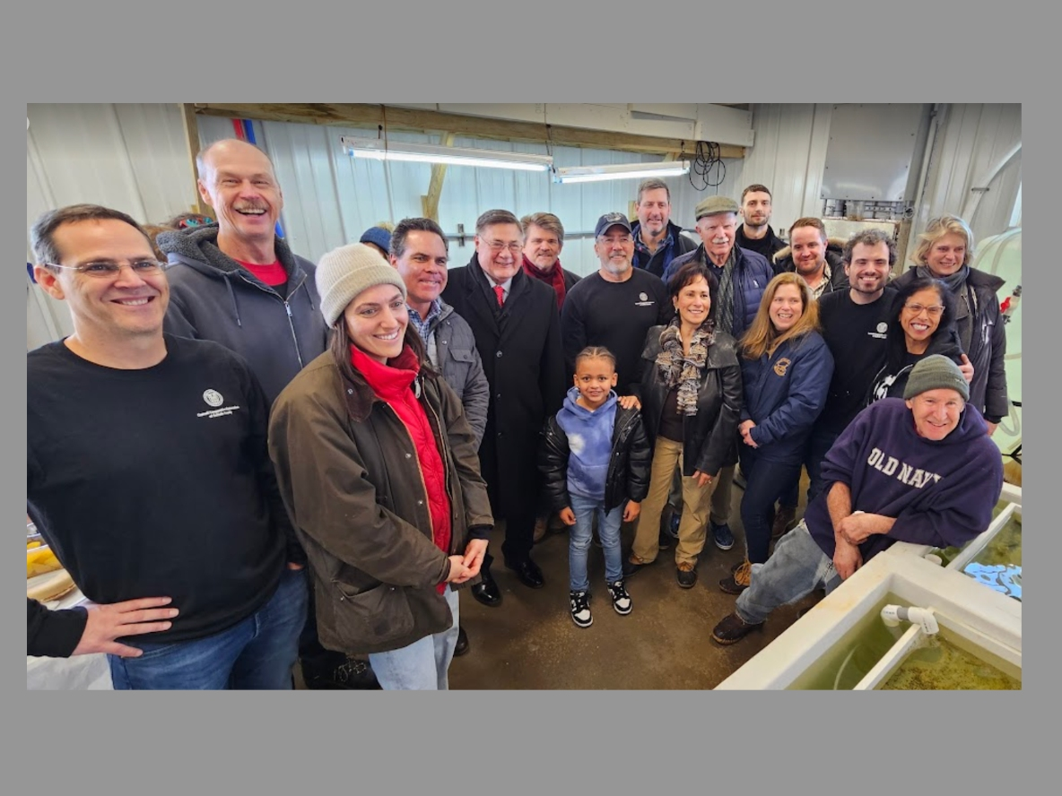 Shellfish Restoration Season Kicks Off In Southold | North Fork, NY Patch