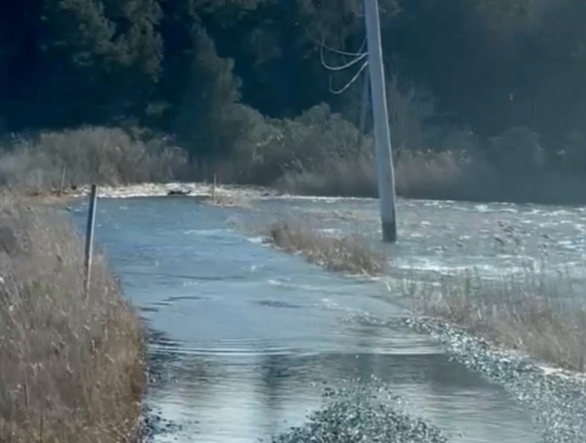 Southold Town Supervisor Set To Weather Sunday's Nor'Easter, Looks ...