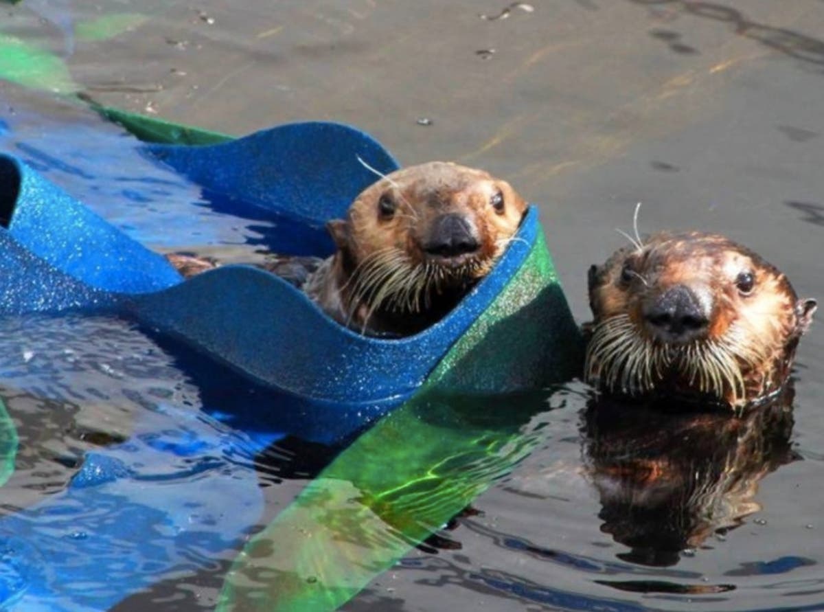 $543M Lottery Win; 104th Birthday; Sweet Otter: Saturday Smiles ...