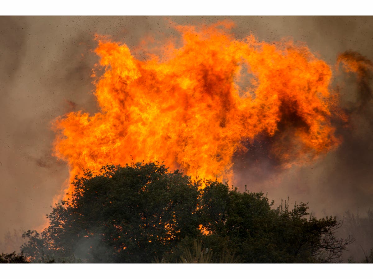 Rose Fire: Cause Determined, Evacuations Lifted In 200-Acre Blaze Near ...