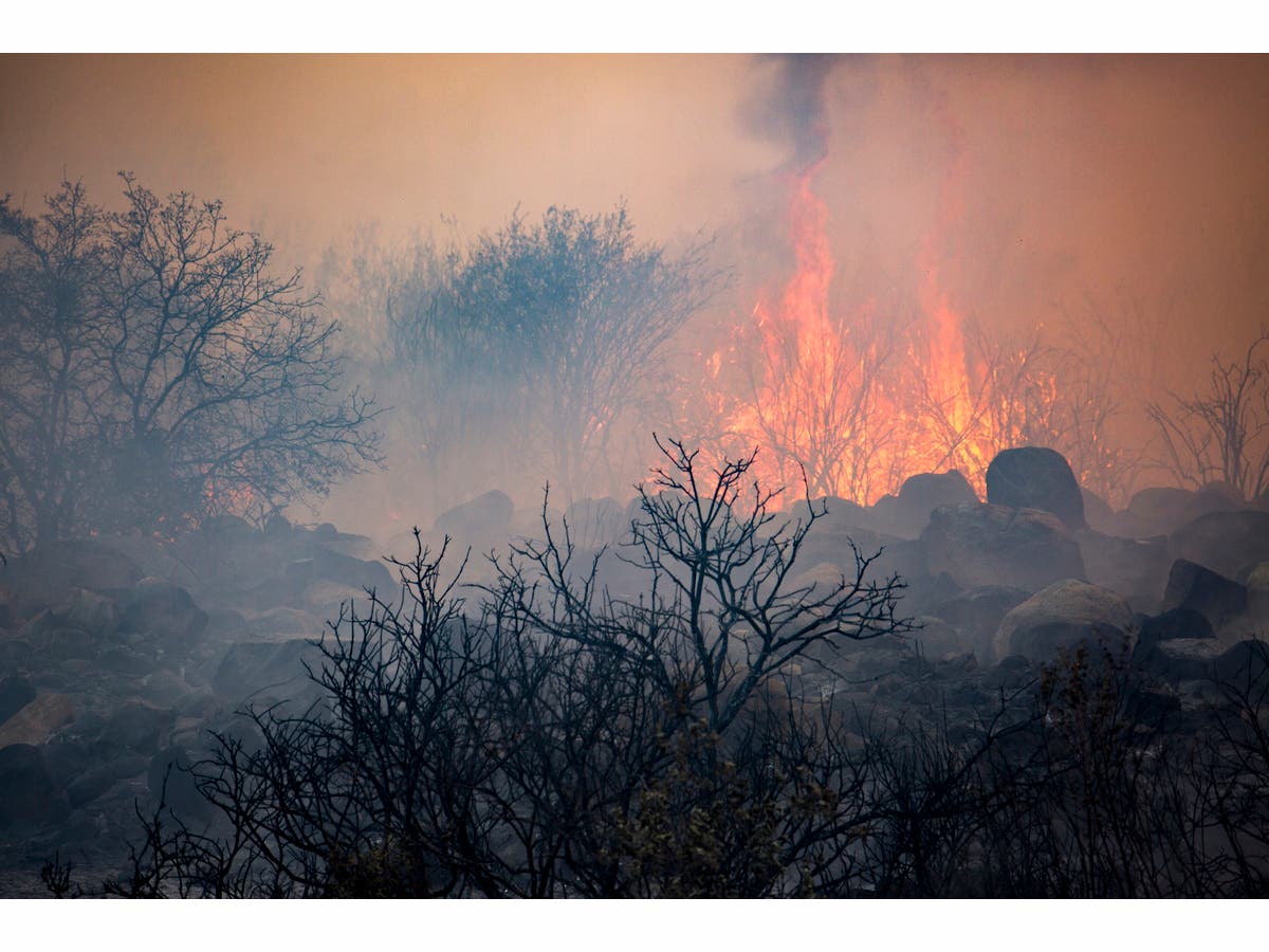 Rose Fire: Cause Determined, Evacuations Lifted In 200-Acre Blaze Near ...