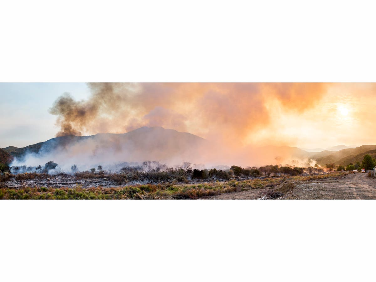 Rose Fire: Cause Determined, Evacuations Lifted In 200-Acre Blaze Near ...