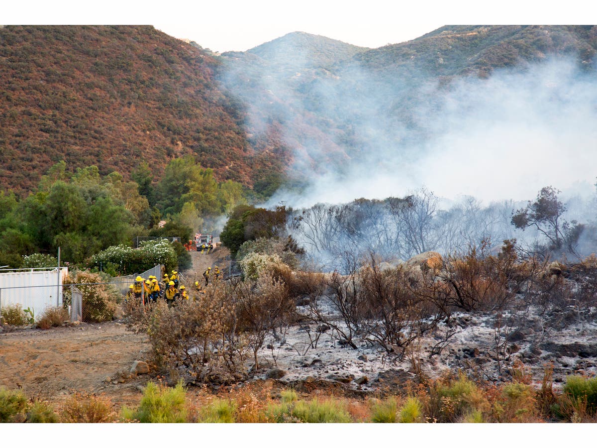 Rose Fire: Cause Determined, Evacuations Lifted In 200-Acre Blaze Near ...
