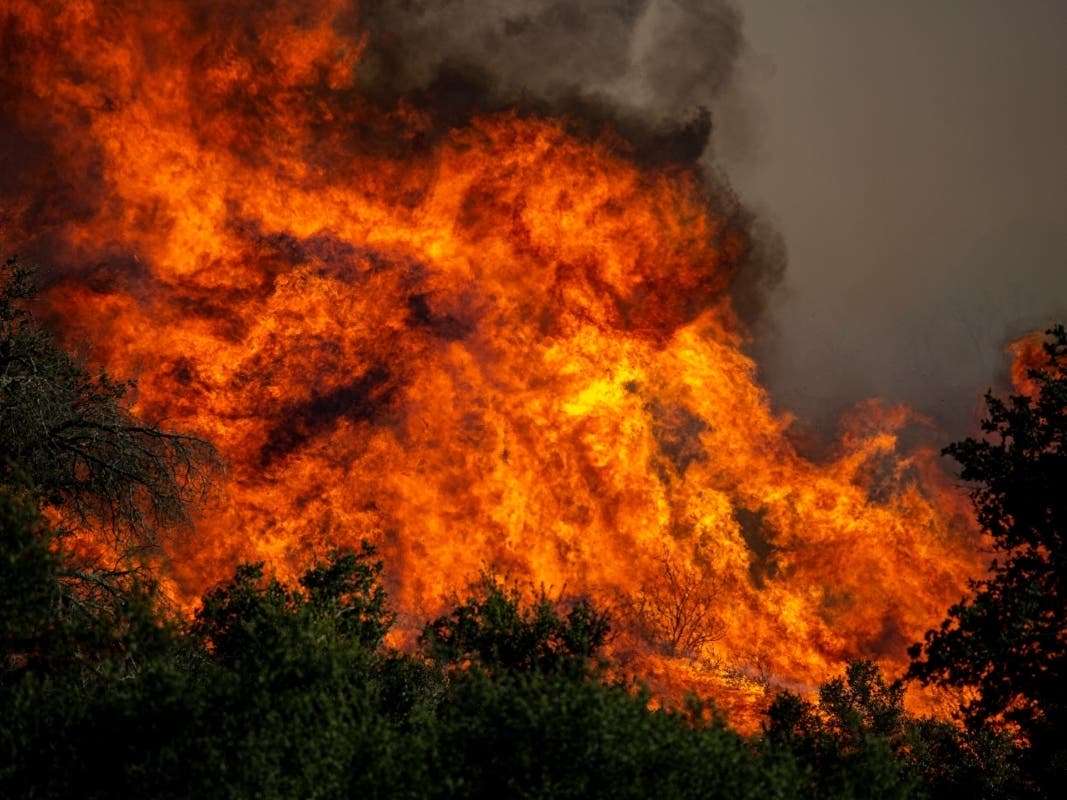 40 Incredible Images That Show The Magnitude Of The Tenaja Fire ...