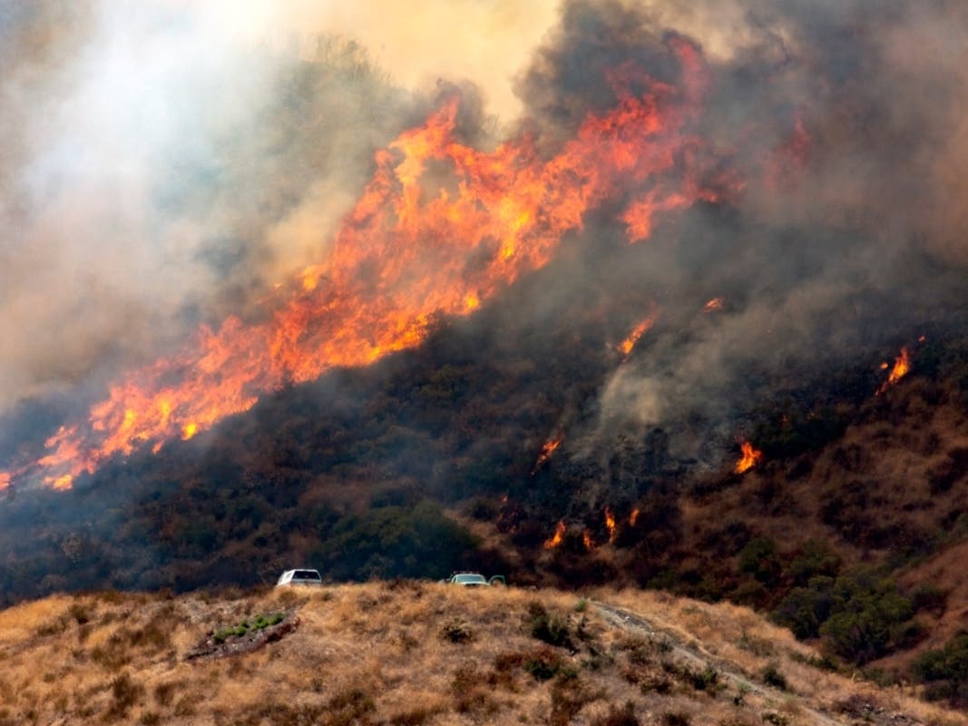 Tenaja Fire: Evacuations Modified, Containment Grows In La Cresta ...
