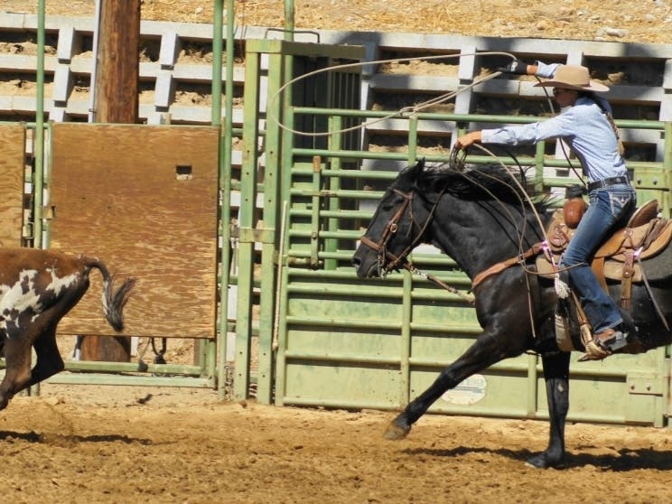 7th Annual Rodeo And BFI Qualifier Stampedes Into Morongo | Banning, CA ...
