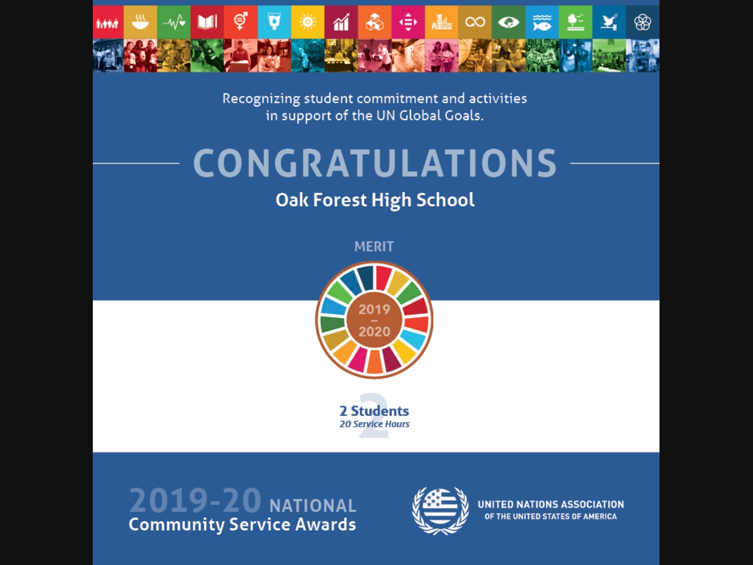 District 228 Students Earn National Awards for Community Service | Oak ...