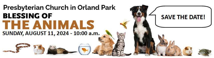 Aug 11 | Animal Blessing at PCOP - Pets of ALL faiths welcome! | Orland ...