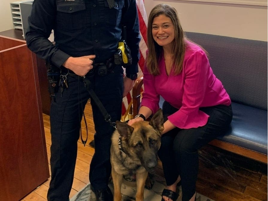 Meet Maui, Northampton Township's New Police Dog | Northampton, PA Patch