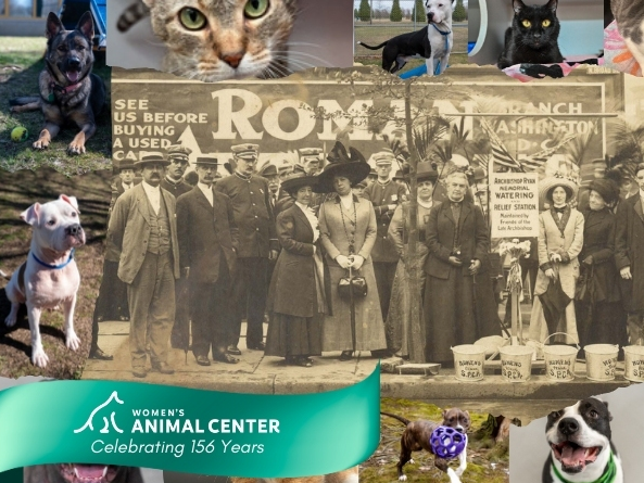 Women's Animal Center Hosting Spring Open House | Bensalem, PA Patch